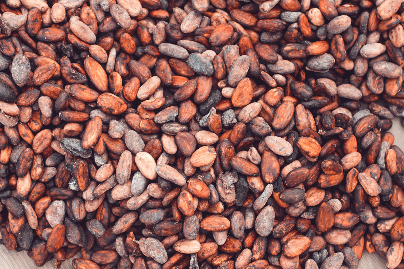 Does Cacao Have Side Effects - the millon morrison